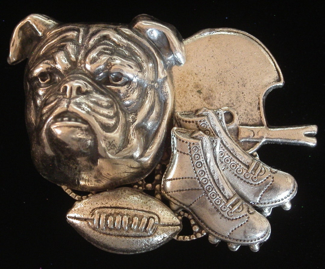 How Could A Bulldog Pin A Bulls