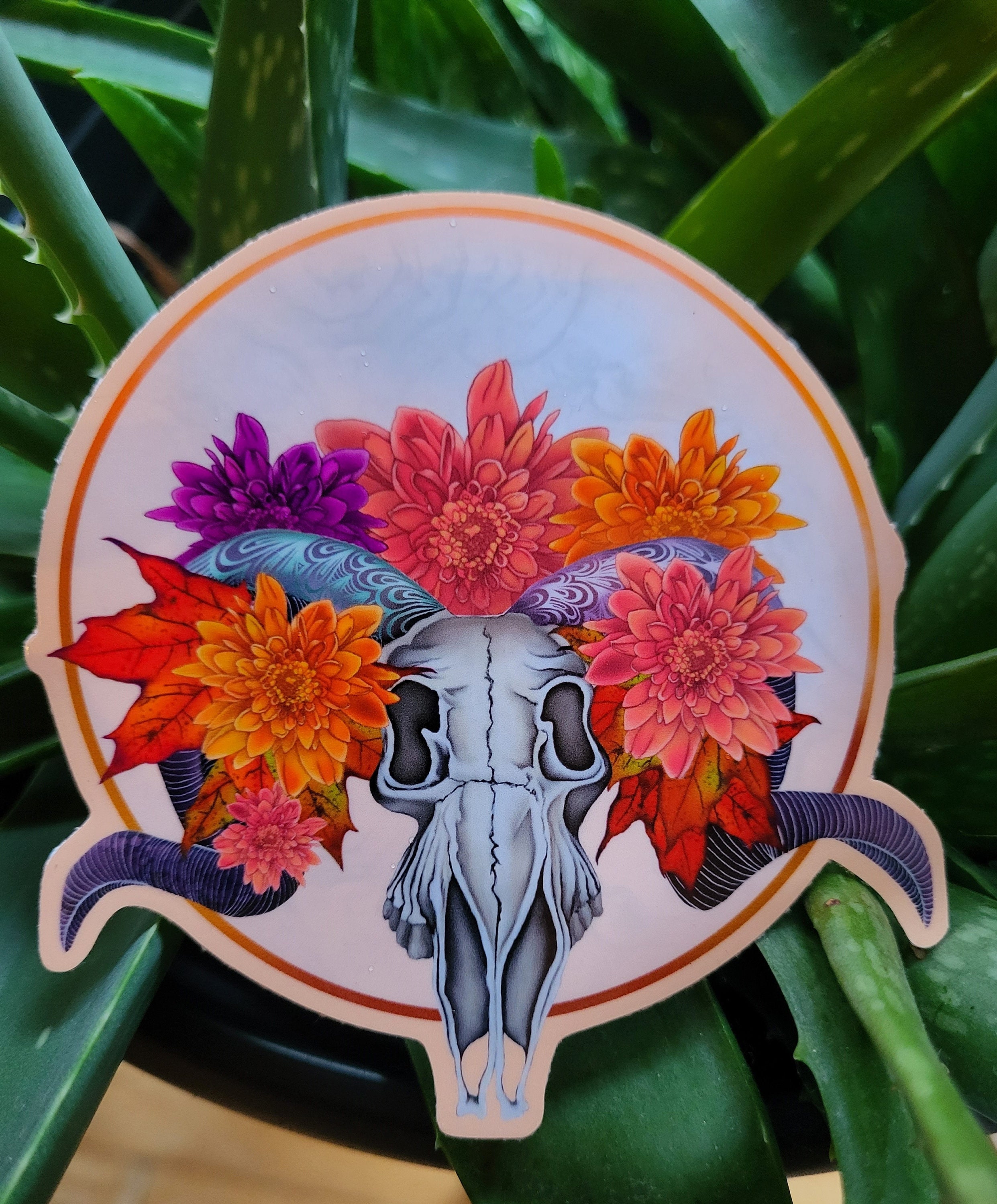 Equinox Ram Skull Sticker - Etsy