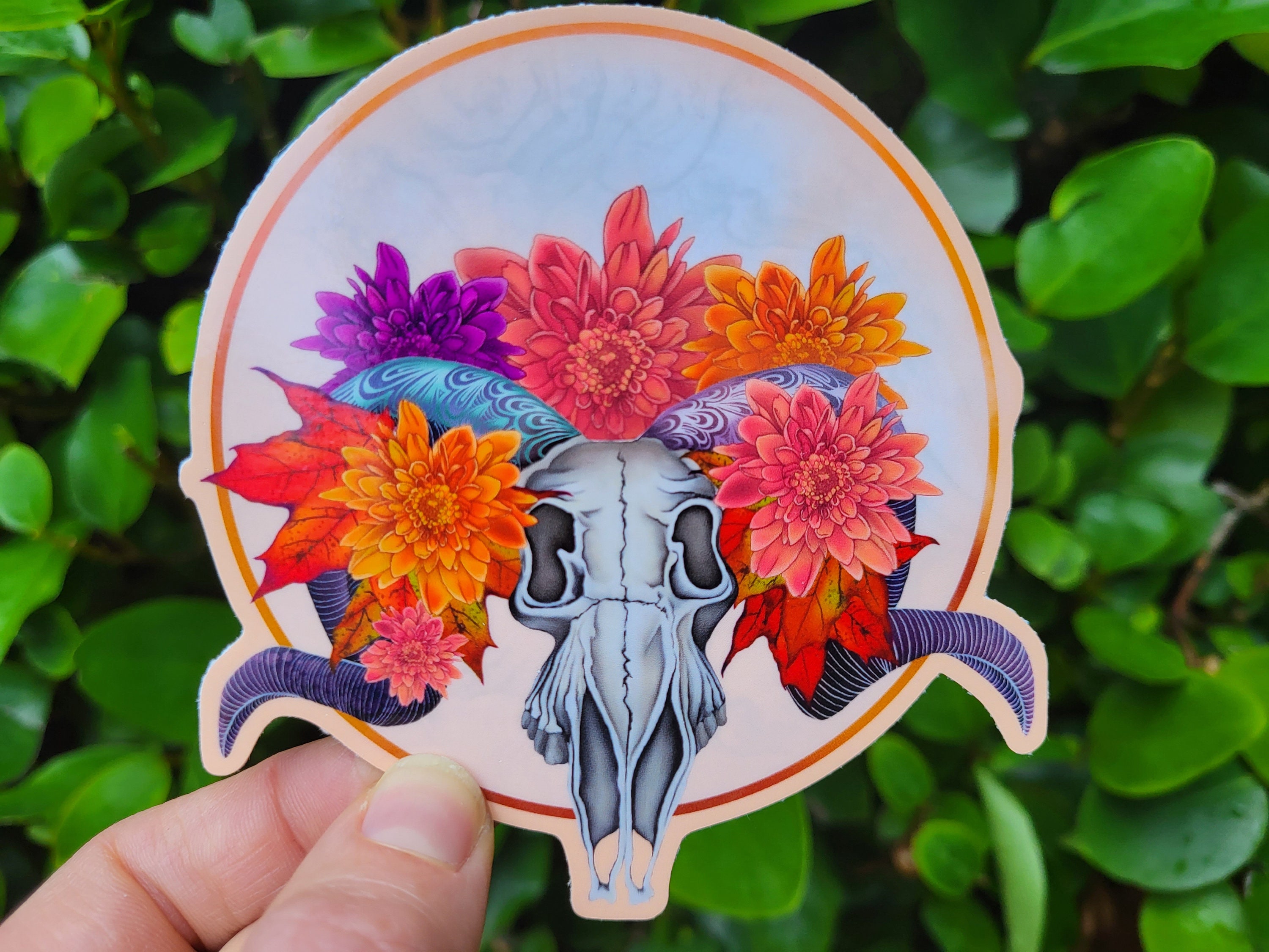 Equinox Ram Skull Sticker - Etsy