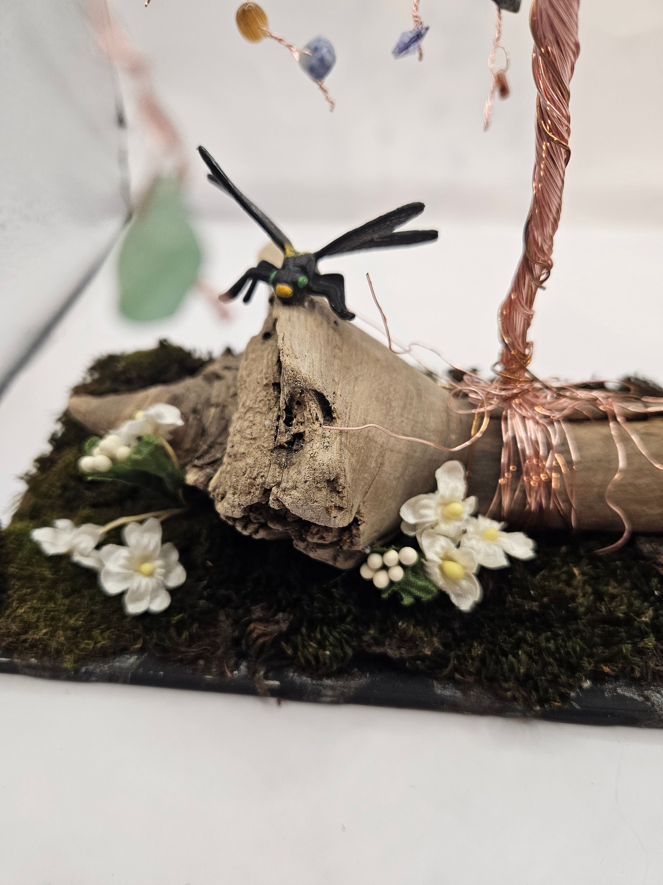 Tree of Life Diorama 3 Little Frogs - Etsy