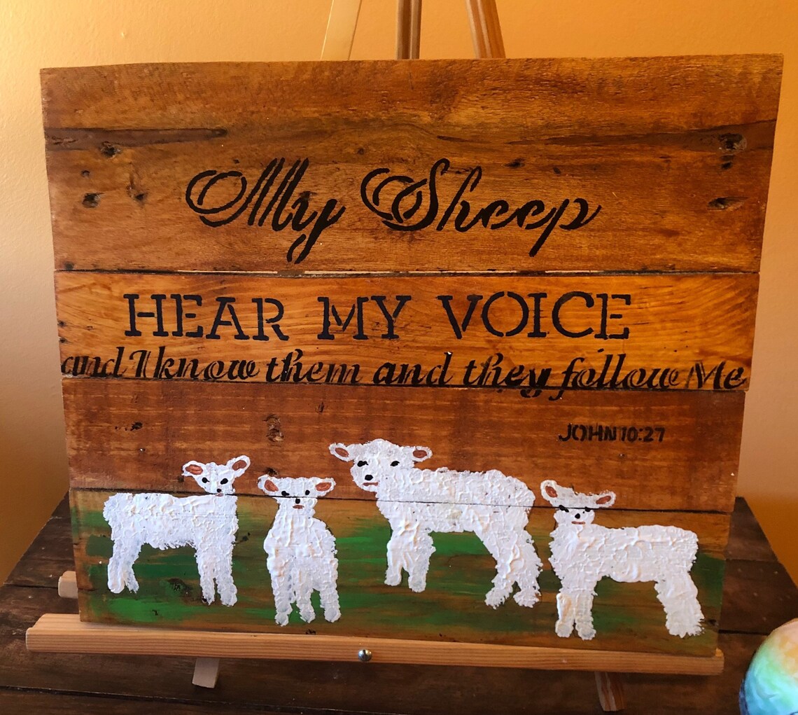My sheep hear my voice - stormsci