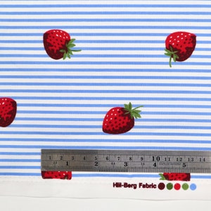 Cute Red Strawberry Fabric - Big Strawberry Printed on Blue/white ...