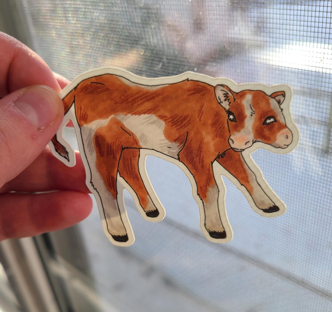 Twice as Many Stars - Two Faced Calf Sticker - Etsy