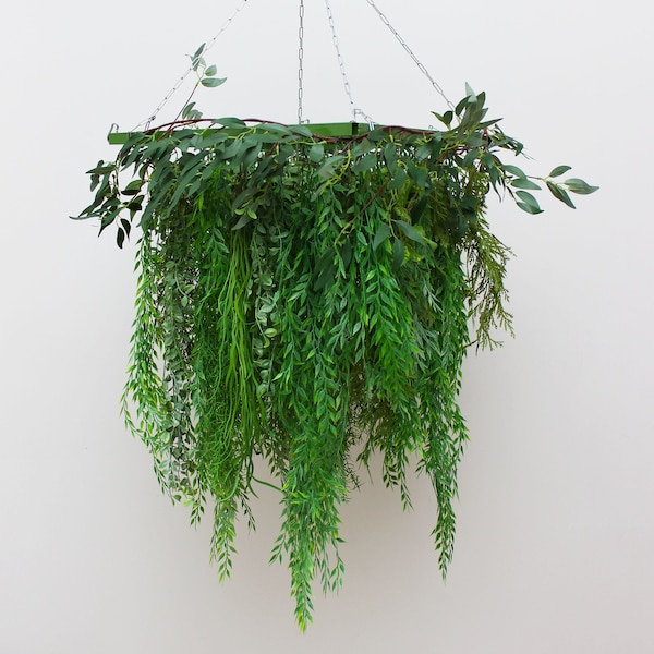 Hanging Greenery - Etsy