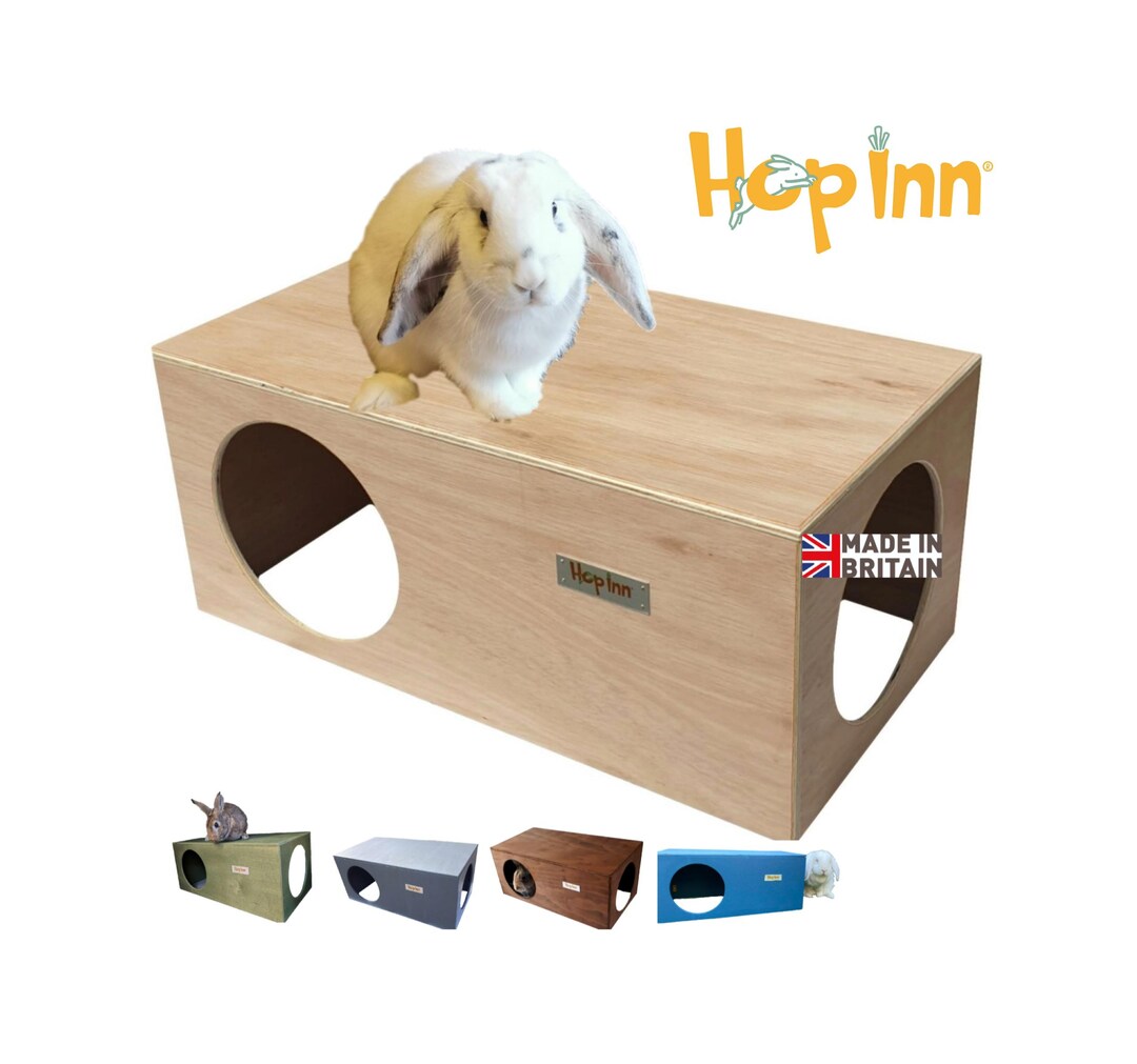 Rabbit Hideaway House for Cats Too - Pet Friendly Stains and Paint ...