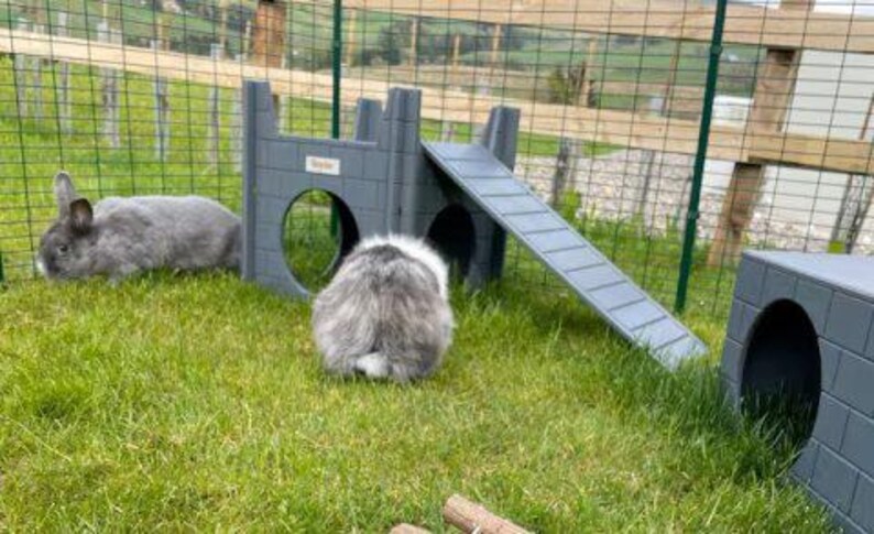 Hop Inn Ramp for the Rabbit Castle - Various Colour Options -PLEASE Pop ...