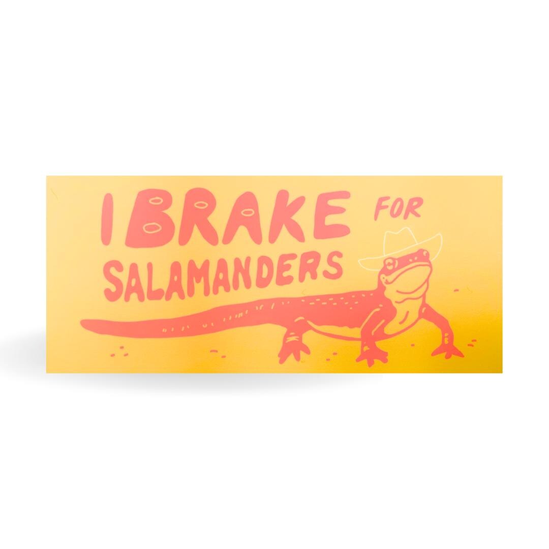 I Break for Salamanders Bumper Sticker | Retro | FREE SHIPPING - Etsy