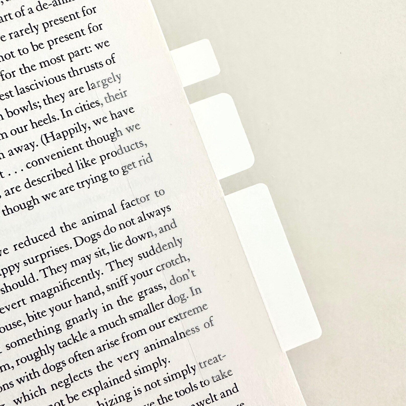Transparent Page Flags - White Edge Design - Etsy