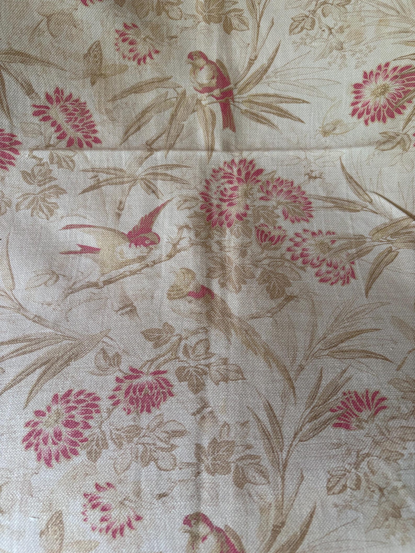 Beautiful Antique French Botanical Chinoiserie Inspired Bird Bamboo Mum ...