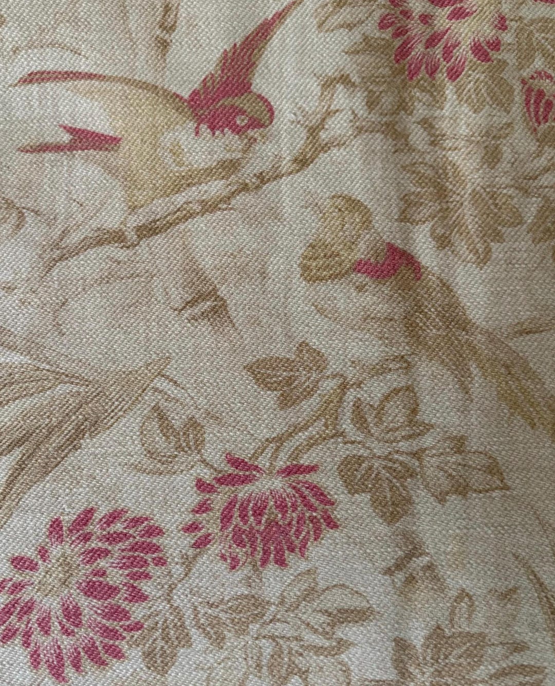 Beautiful Antique French Botanical Chinoiserie Inspired Bird Bamboo Mum ...
