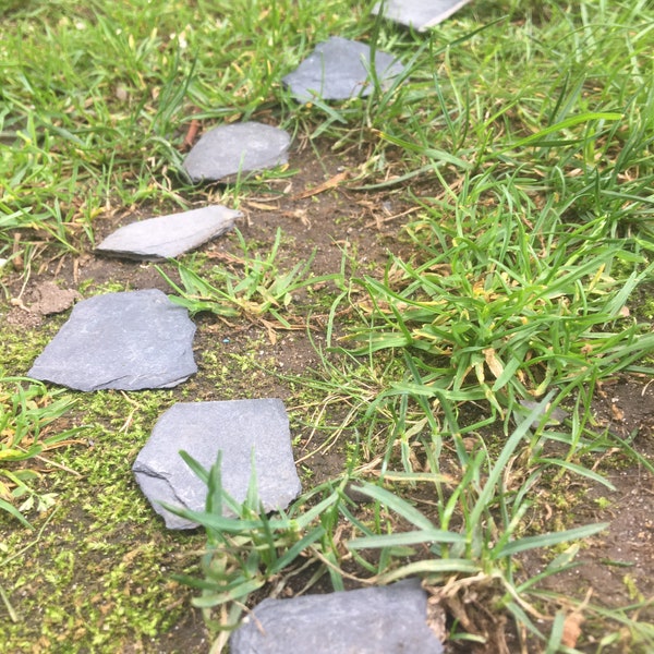 Mini Stepping Stones - Etsy