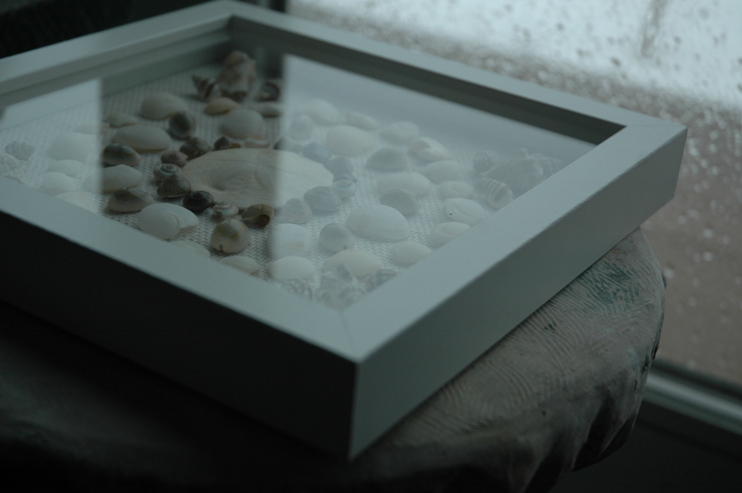 Seashell Art Florida Mandala - Etsy