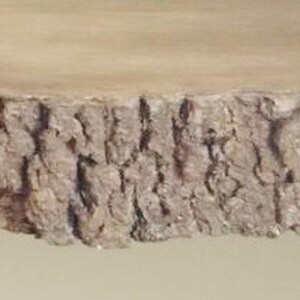Log Tree Bark Fireplace Mantel - Etsy Canada