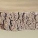 Log Tree Bark Fireplace Mantel - Etsy Canada