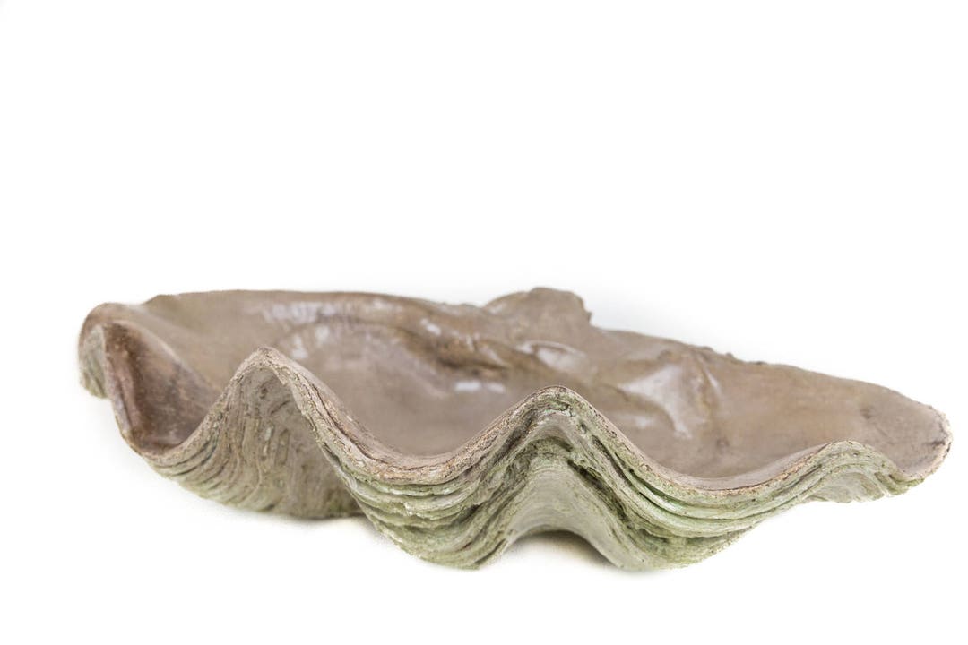 Seashell Clam Beach Lake Bathroom Vessel Sink - Etsy