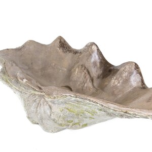 Seashell Clam Beach Lake Bathroom Vessel Sink - Etsy