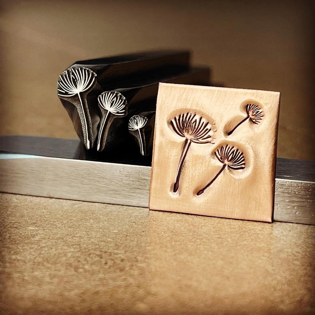 Floaters. Cypselae. Floating Seeds. Floating Fairies. Dandelion Seeds ...