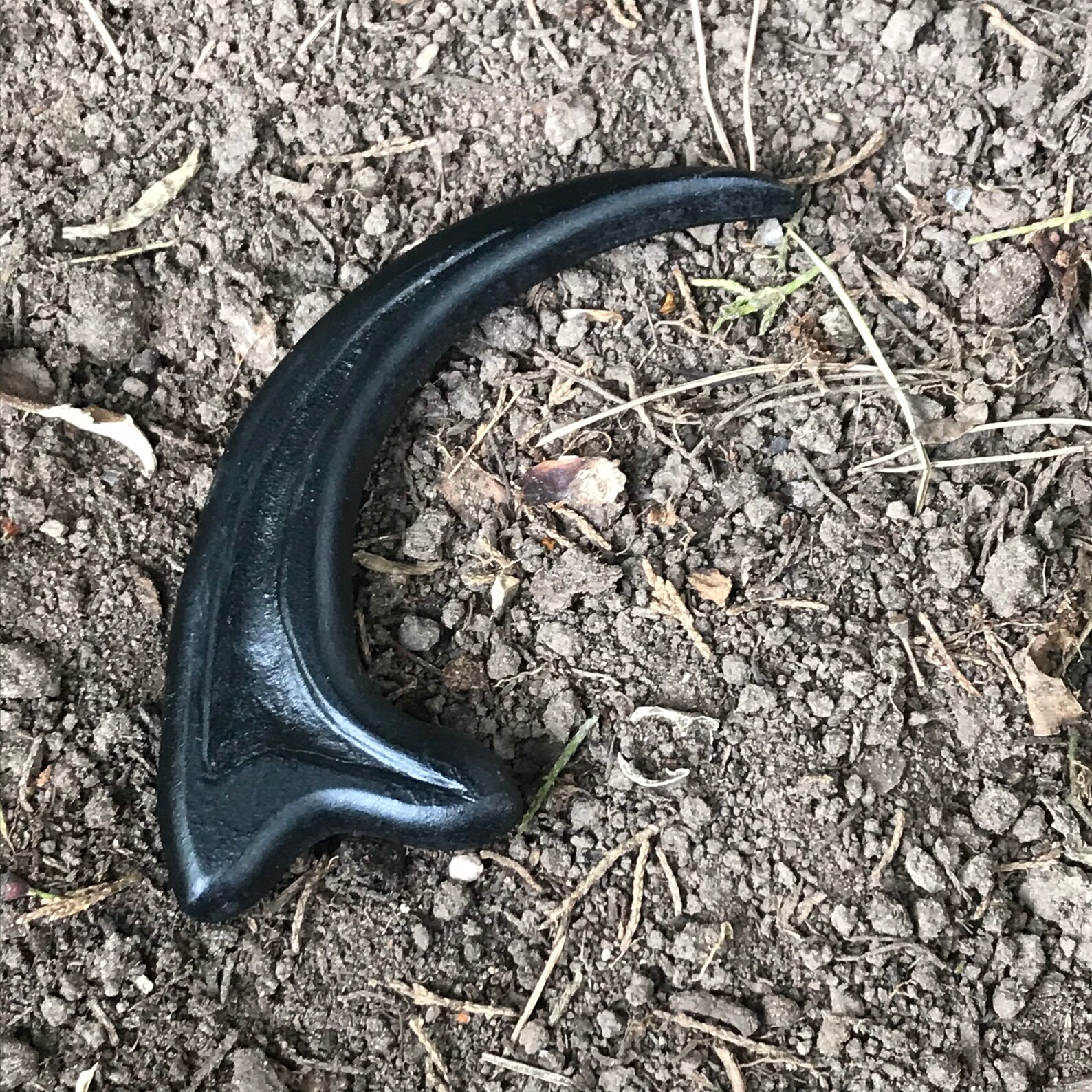 Replica Raptor Claw 6 Inch Wooden Hand Carved Unofficial Movie | Etsy