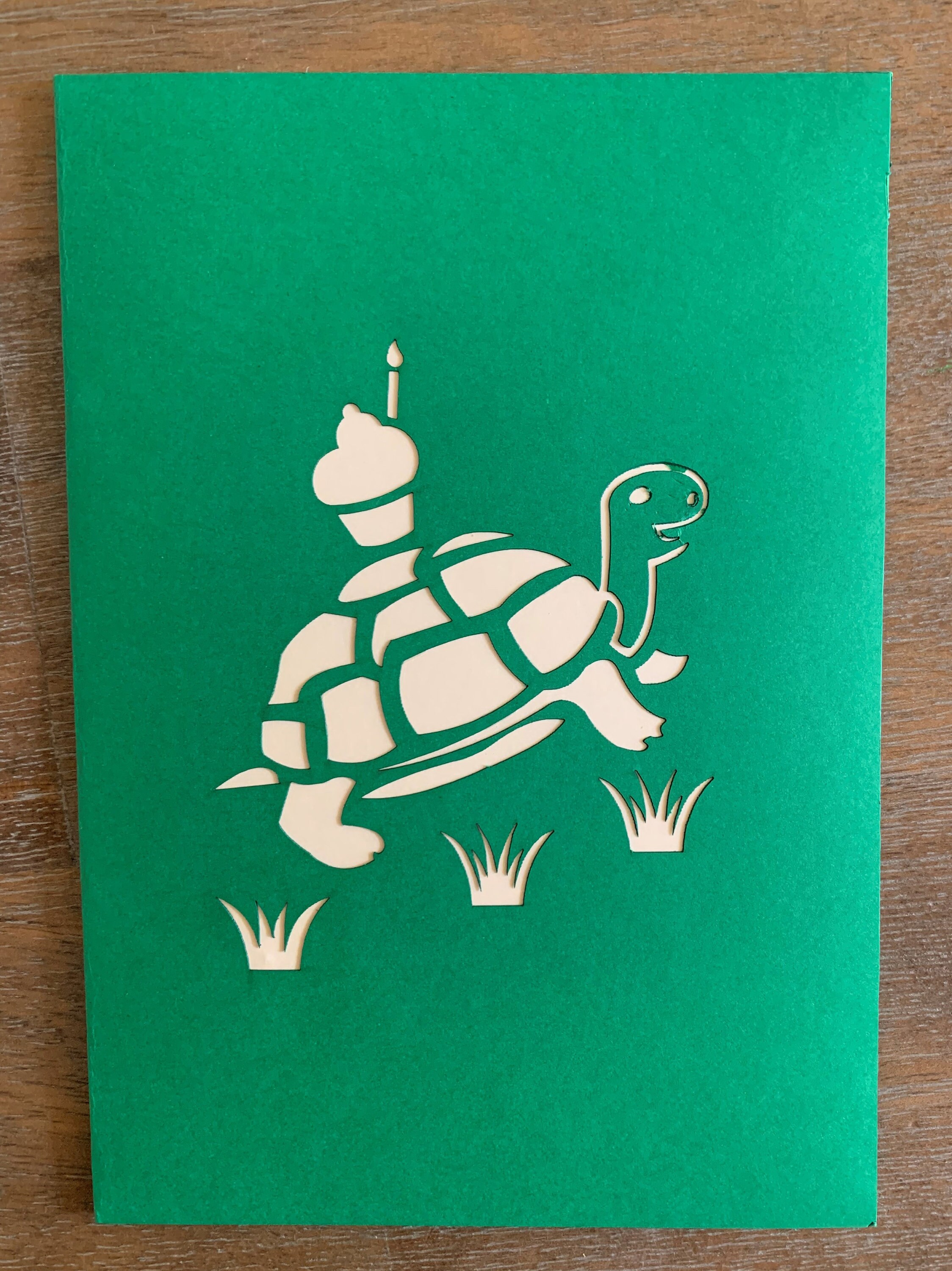 Turtle Birthday Late Pop-up Card - Etsy
