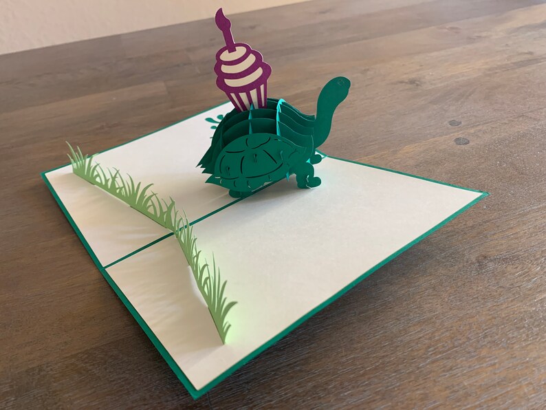 Turtle Birthday Late Pop-up Card - Etsy