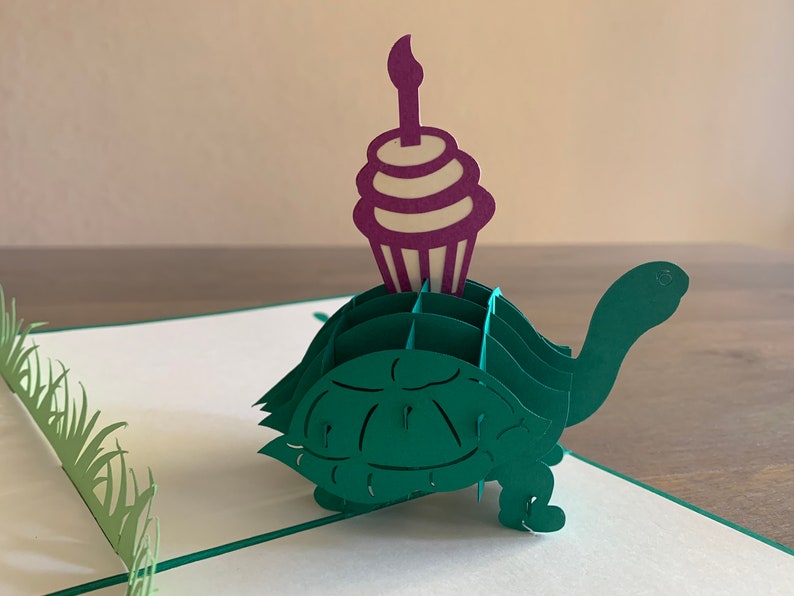 Turtle Birthday Late Pop-up Card - Etsy