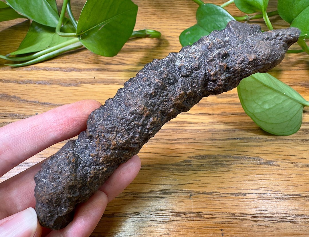 Raw PROPHECY Stone - Elongated, Limonite & Hematite - Rare Crystals and ...