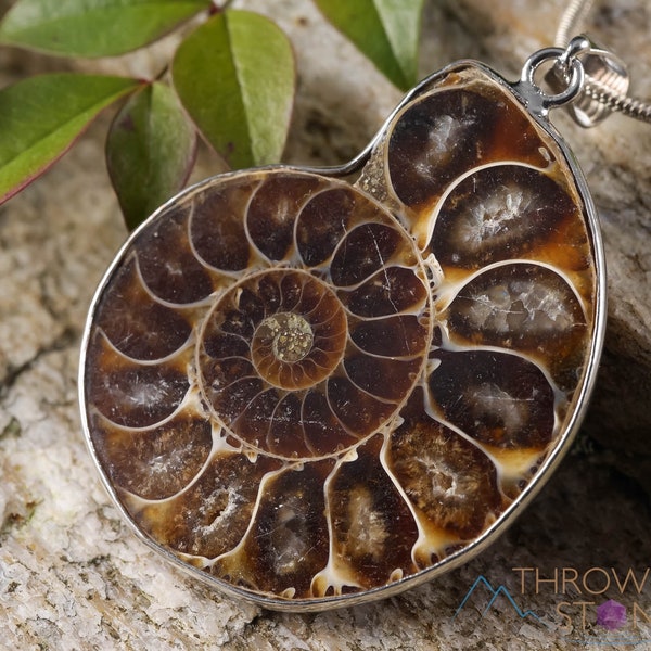 Ammonite Pendant - Etsy