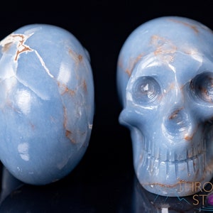 ANGELITE Crystal Skull Gothic Home Decor Memento Mori - Etsy