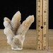 AURA QUARTZ Angel White - Rainbow Quartz Crystal, Crystal Cluster ...