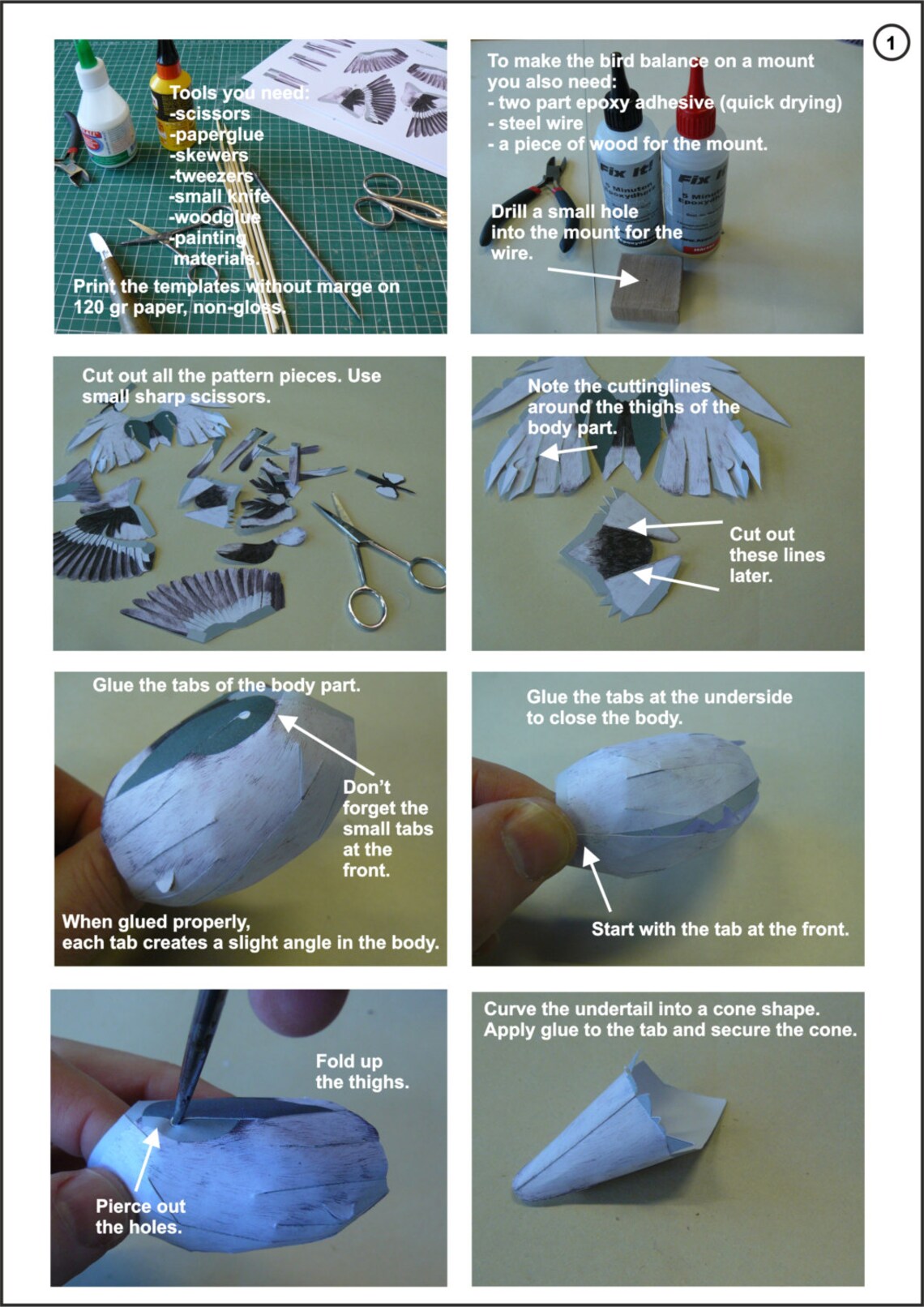 Template Papercraft Flycatcher in Flight. - Etsy