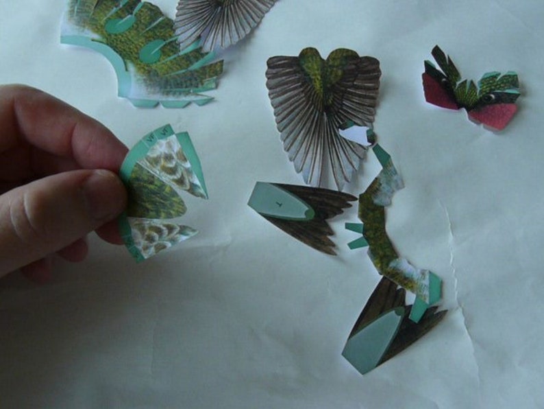 Template Paper Hummingbird - Etsy