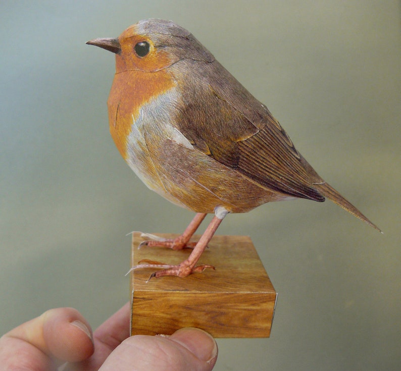 Template European Robin, a Paper Model - Etsy