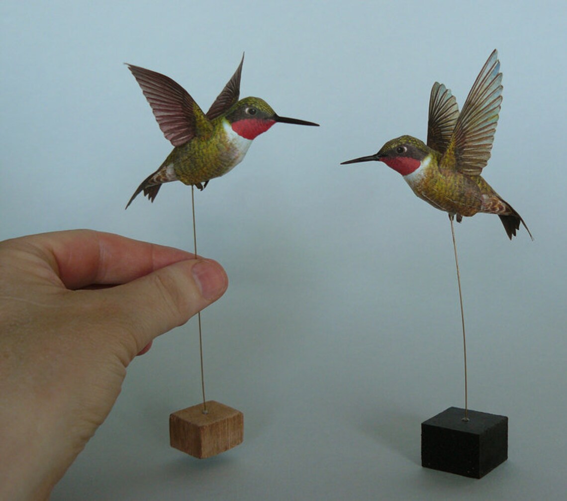 Template Paper Hummingbird - Etsy