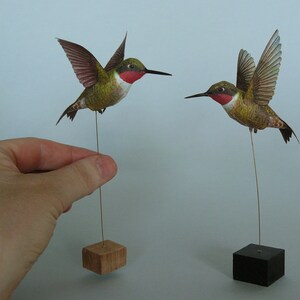 Template Paper Hummingbird - Etsy