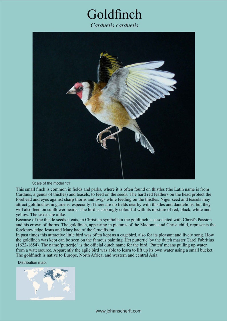 Template Papercraft Goldfinch in Flight - Etsy