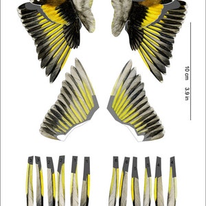 Template Papercraft Goldfinch in Flight - Etsy