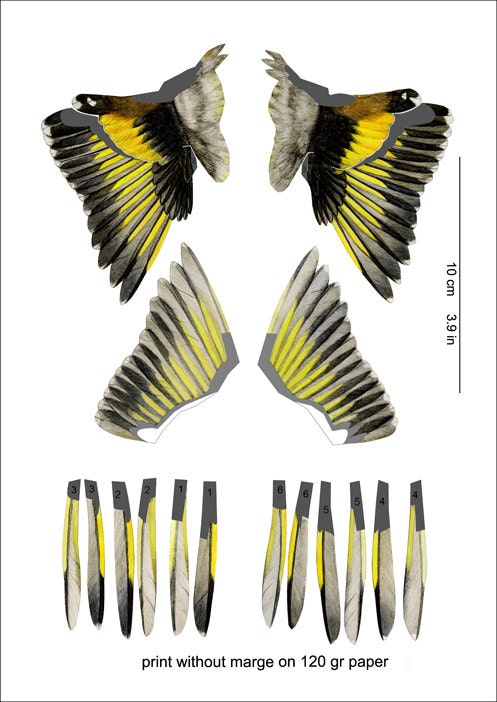 Template Papercraft Goldfinch in Flight - Etsy