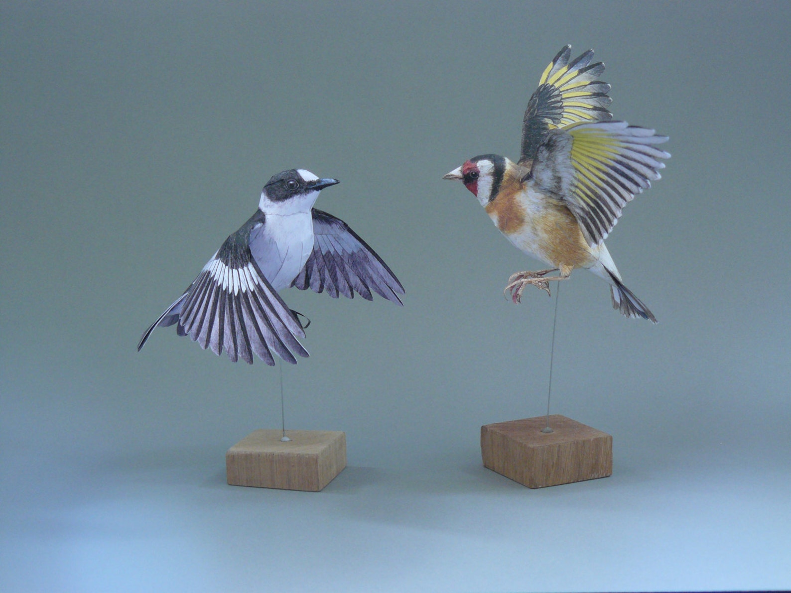 Template Papercraft Flycatcher in Flight. - Etsy