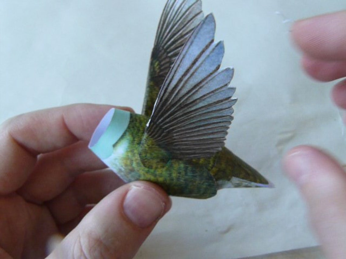 Template Paper Hummingbird - Etsy