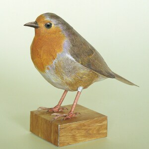 Template European Robin, a Paper Model - Etsy