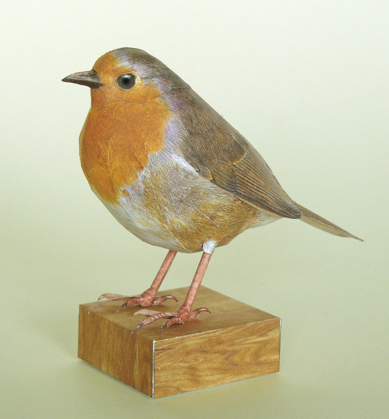 Template European Robin, a Paper Model - Etsy