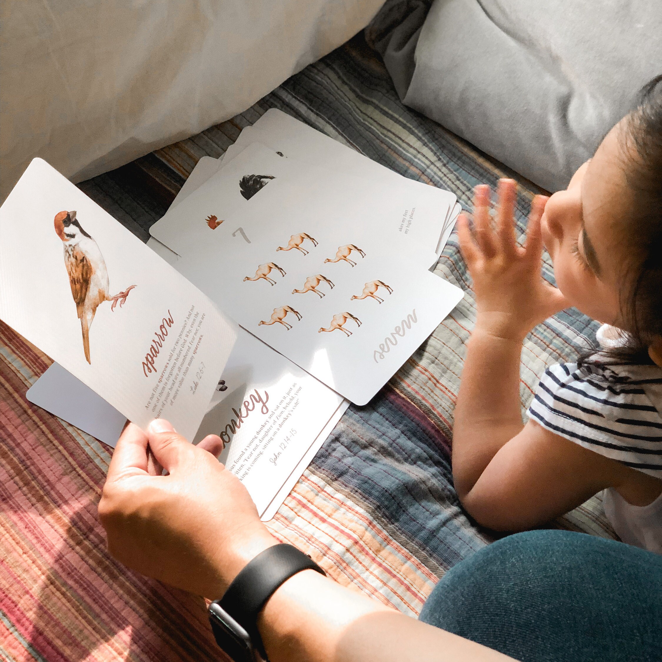 Bible Animals Counting Cards, Scripture Flash Cards, Bible Verse Cards ...