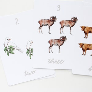 Bible Animals Counting Cards, Scripture Flash Cards, Bible Verse Cards ...