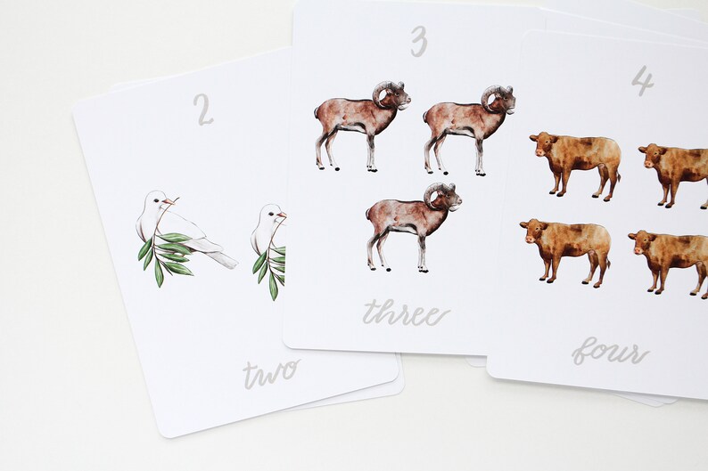 Bible Animals Counting Cards, Scripture Flash Cards, Bible Verse Cards ...