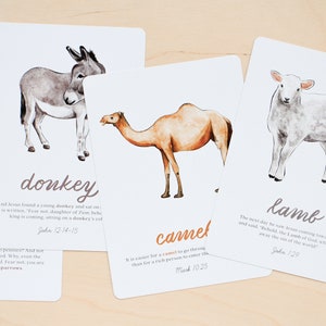 Bible Animals Counting Cards, Scripture Flash Cards, Bible Verse Cards ...