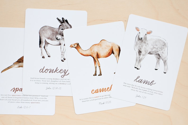 Bible Animals Counting Cards, Scripture Flash Cards, Bible Verse Cards ...