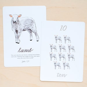 Bible Animals Counting Cards, Scripture Flash Cards, Bible Verse Cards ...