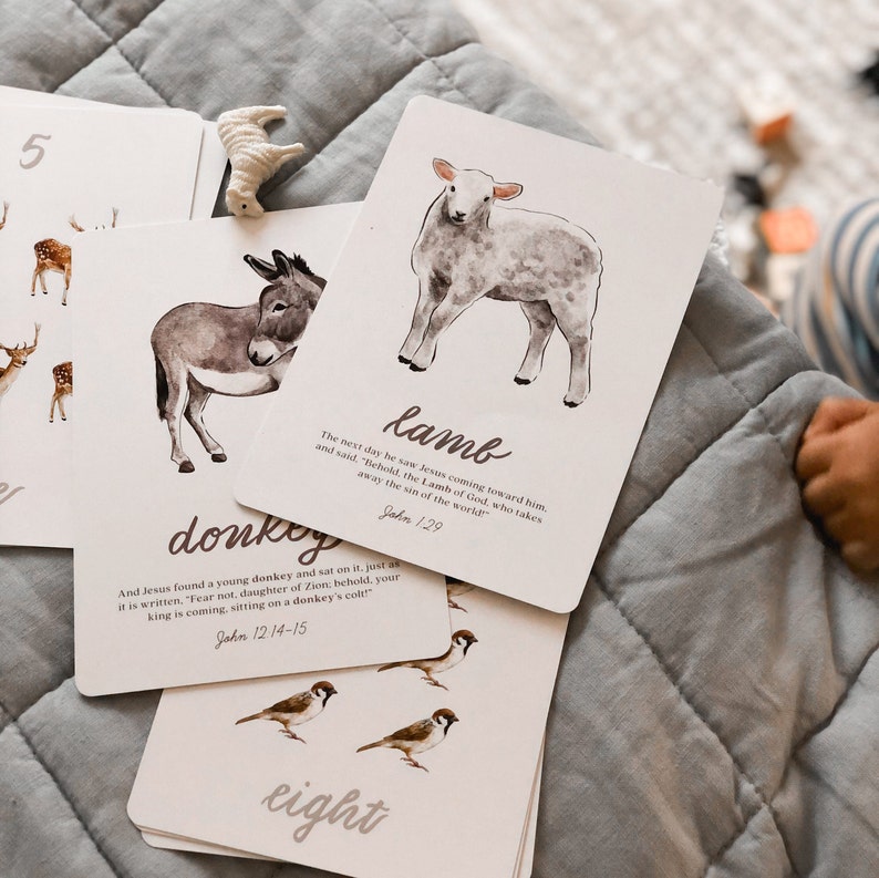 Bible Animals Counting Cards, Scripture Flash Cards, Bible Verse Cards ...