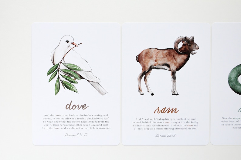 Bible Animals Counting Cards, Scripture Flash Cards, Bible Verse Cards ...