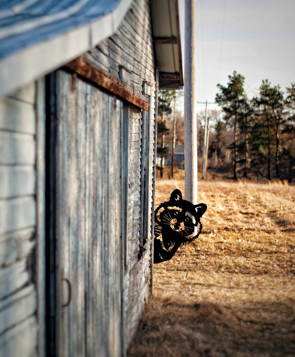 Peek-a-boo Metal Raccoon Raccoon Garden Decor Metal Raccoon - Etsy